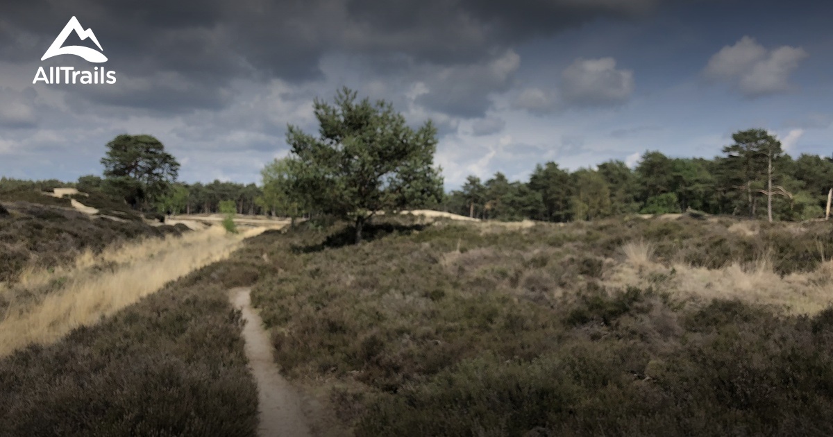Best hikes and trails in Odijk | AllTrails