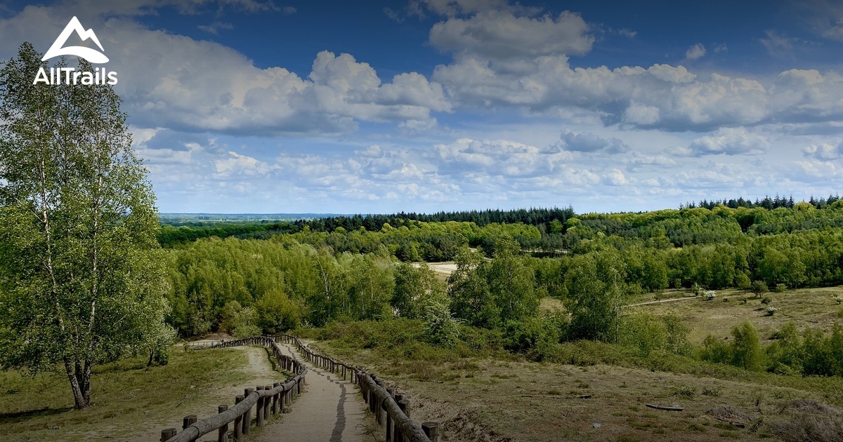 Best trail running trails in Rhenen | AllTrails