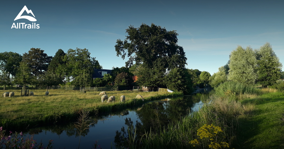 De beste wandelroutes om te wandelen in Vleuten | AllTrails