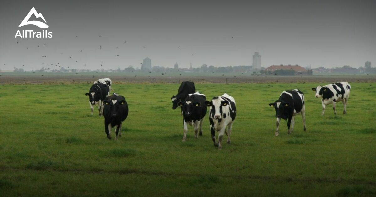 Najlepsze szlaki odpowiednie dla dzieci w: Zierikzee | AllTrails