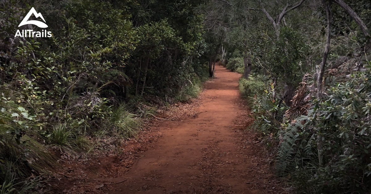 10 Best trails and hikes in Dumbea | AllTrails