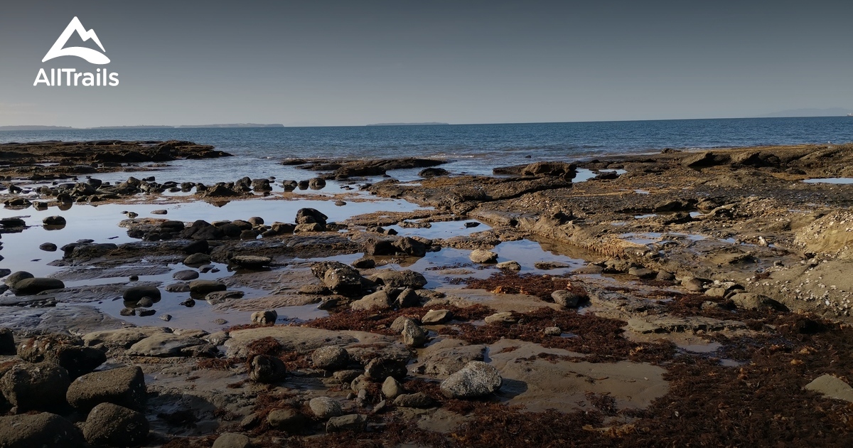 Best Trails near Albany, Auckland New Zealand | AllTrails