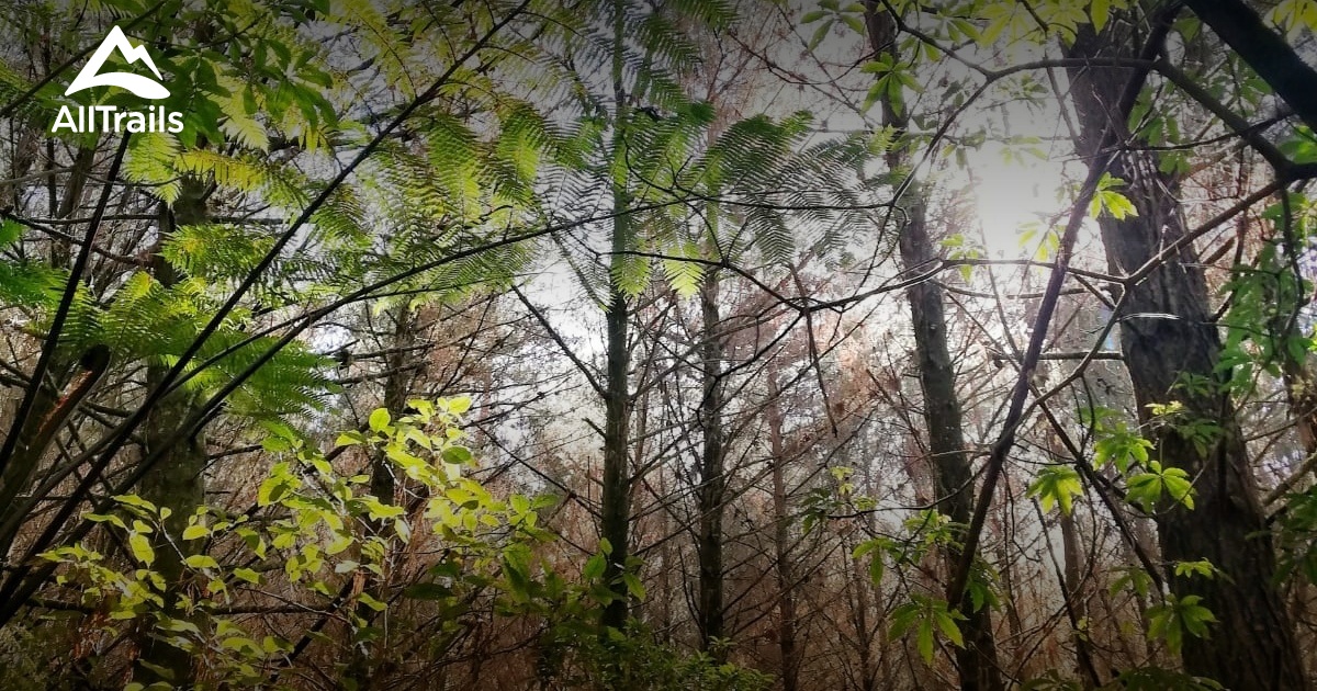 Best river trails in Albany | AllTrails