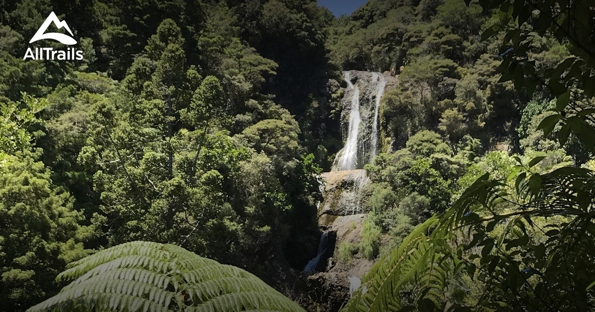 10 Best waterfall trails in Auckland | AllTrails