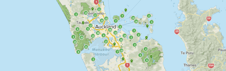 2023 Best 10 Trails and Hikes in Auckland | AllTrails