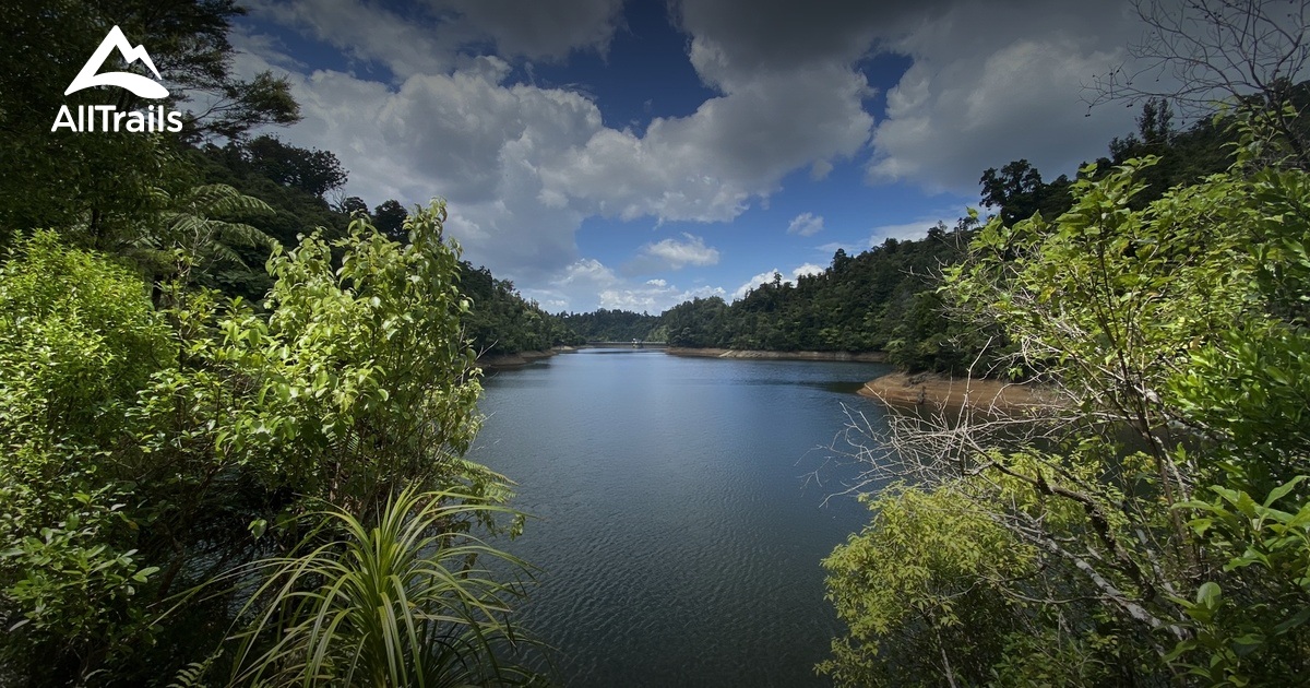 10 Best trails and hikes in Huia | AllTrails