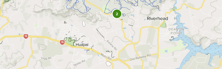 Best trails in Kumeu, Auckland | AllTrails