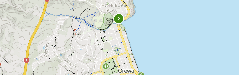 Best trails in Orewa, Auckland | AllTrails