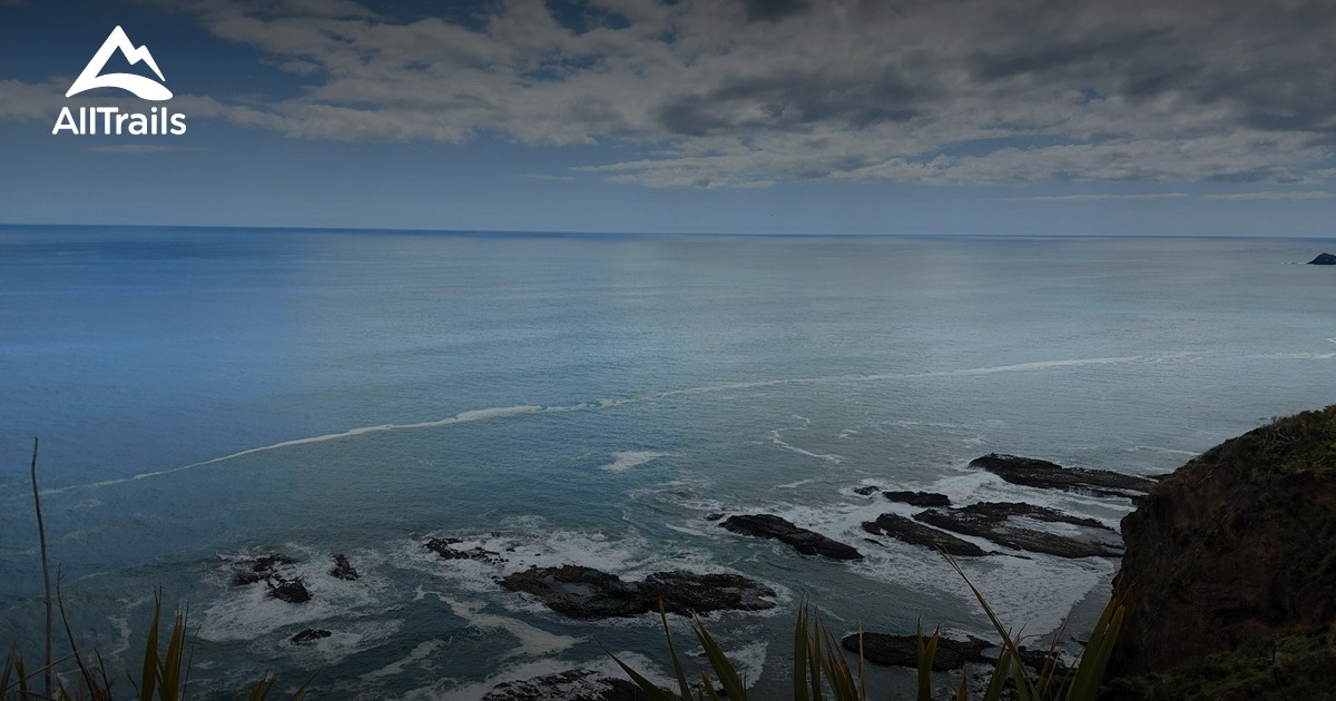 Best easy trails in Waimauku | AllTrails