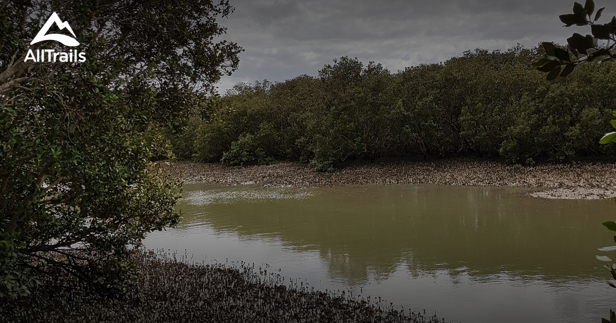 Best hikes and trails in Wellsford | AllTrails