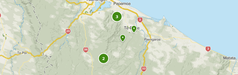 Best 10 Trails and Hikes in Te Puke | AllTrails