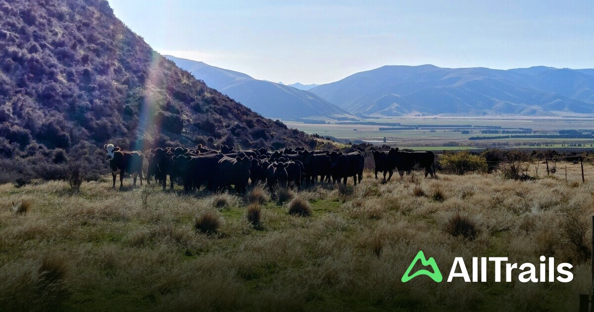 Best hikes and trails in Omarama | AllTrails
