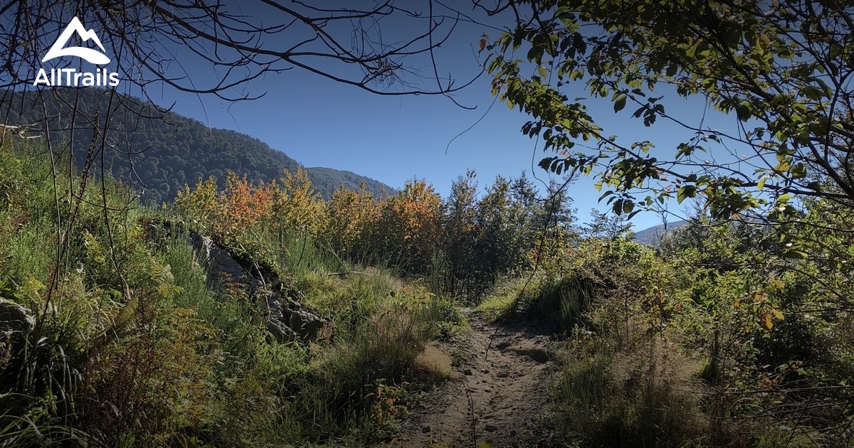 Best Trails near Rangiora, Canterbury New Zealand | AllTrails