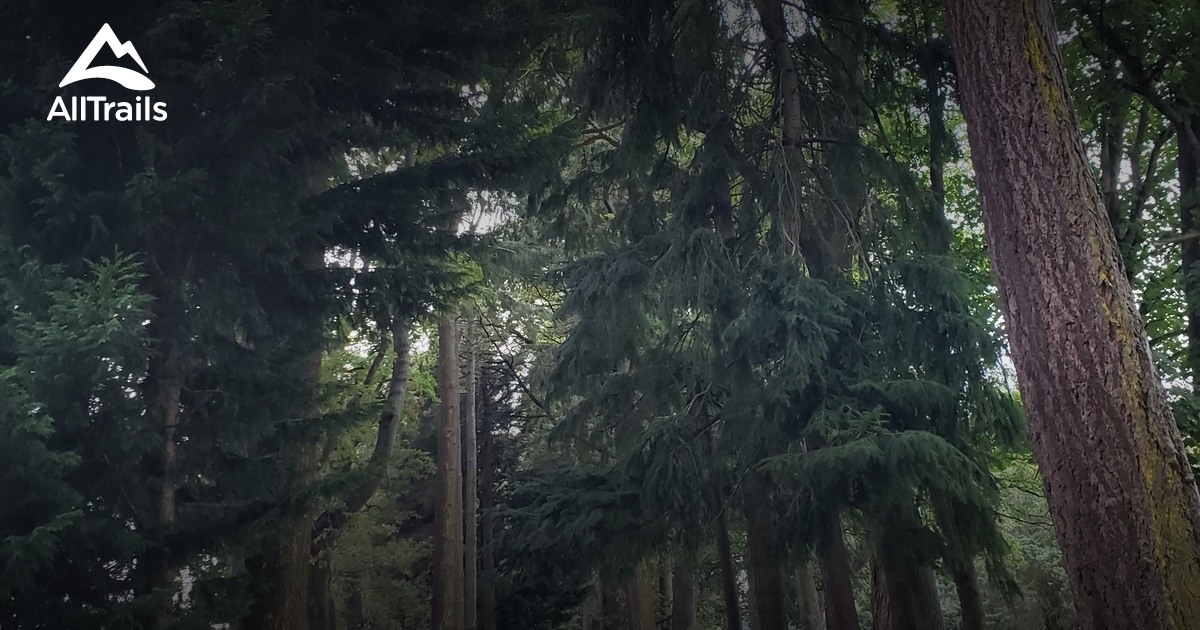 Best hikes and trails in Temuka | AllTrails