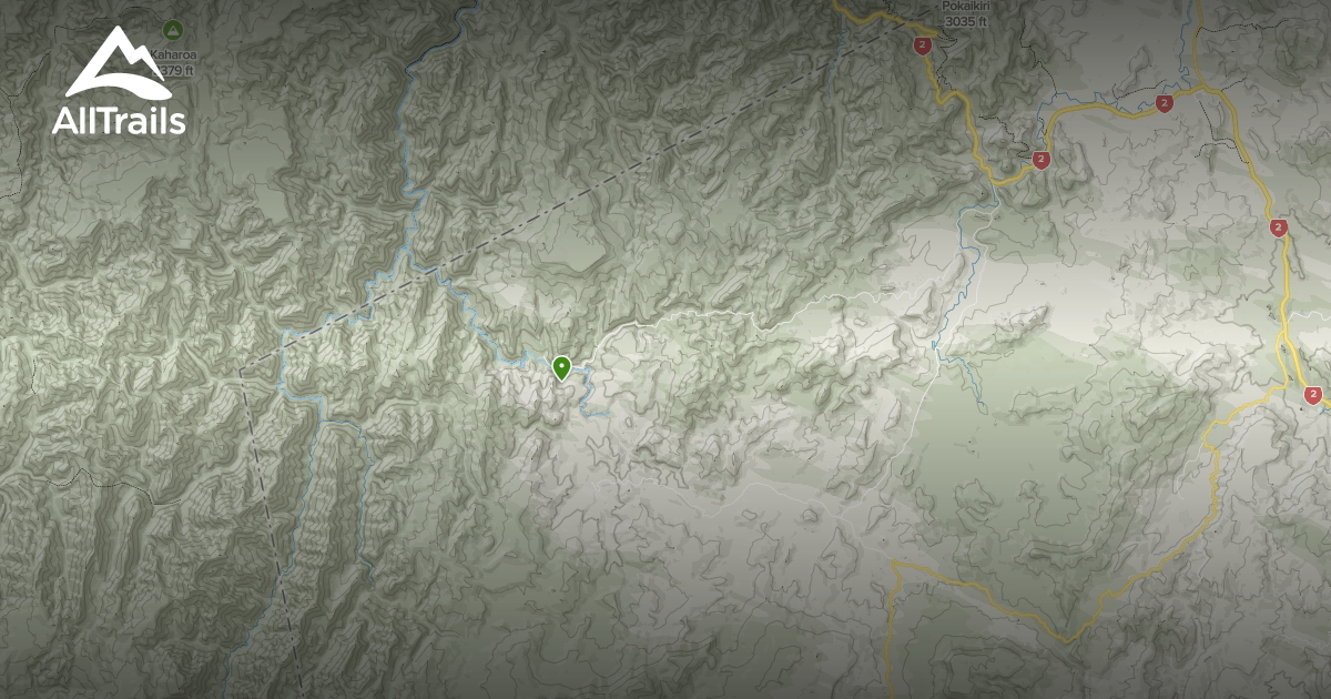 Best forest trails in Matawai | AllTrails