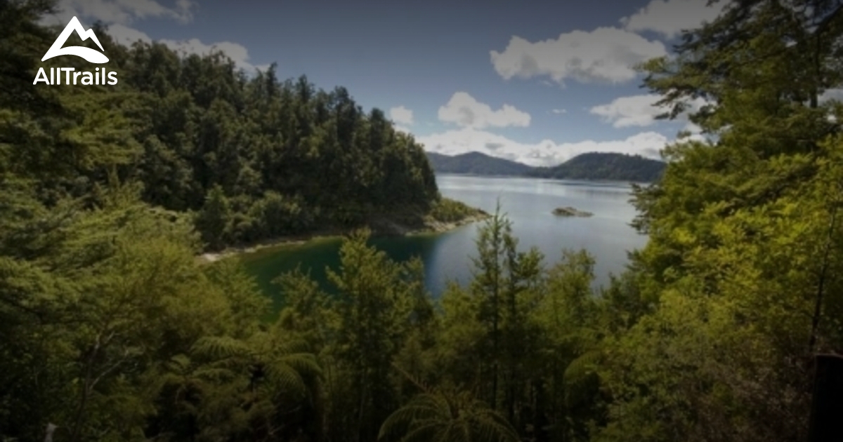 Best hikes and trails in Raupunga | AllTrails