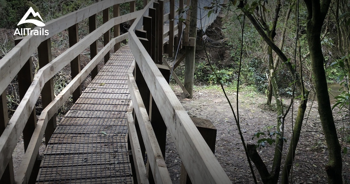 Best river trails in Takapau | AllTrails