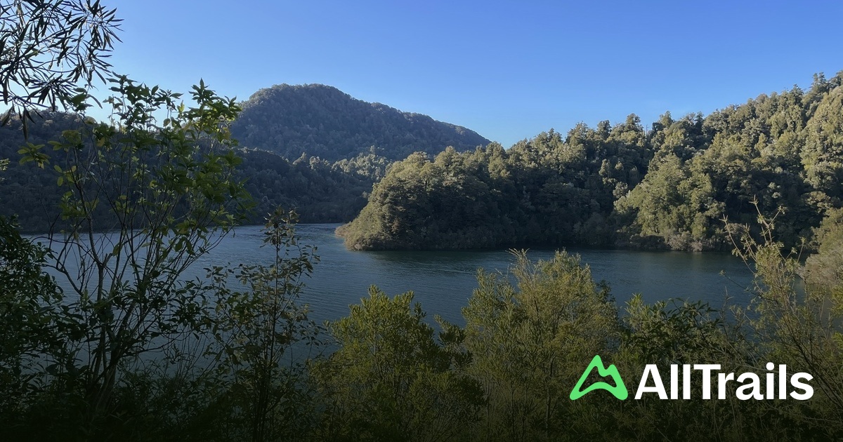 Best hikes and trails in Te Urewera | AllTrails