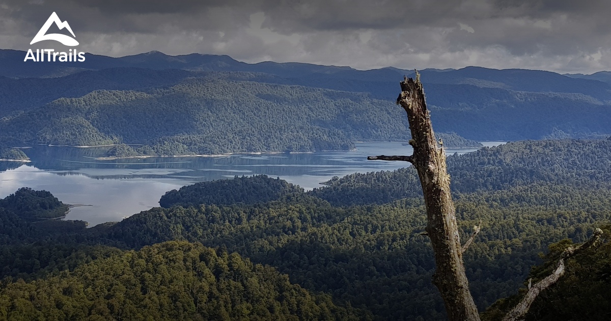 10 Best trails and hikes in Wairoa | AllTrails