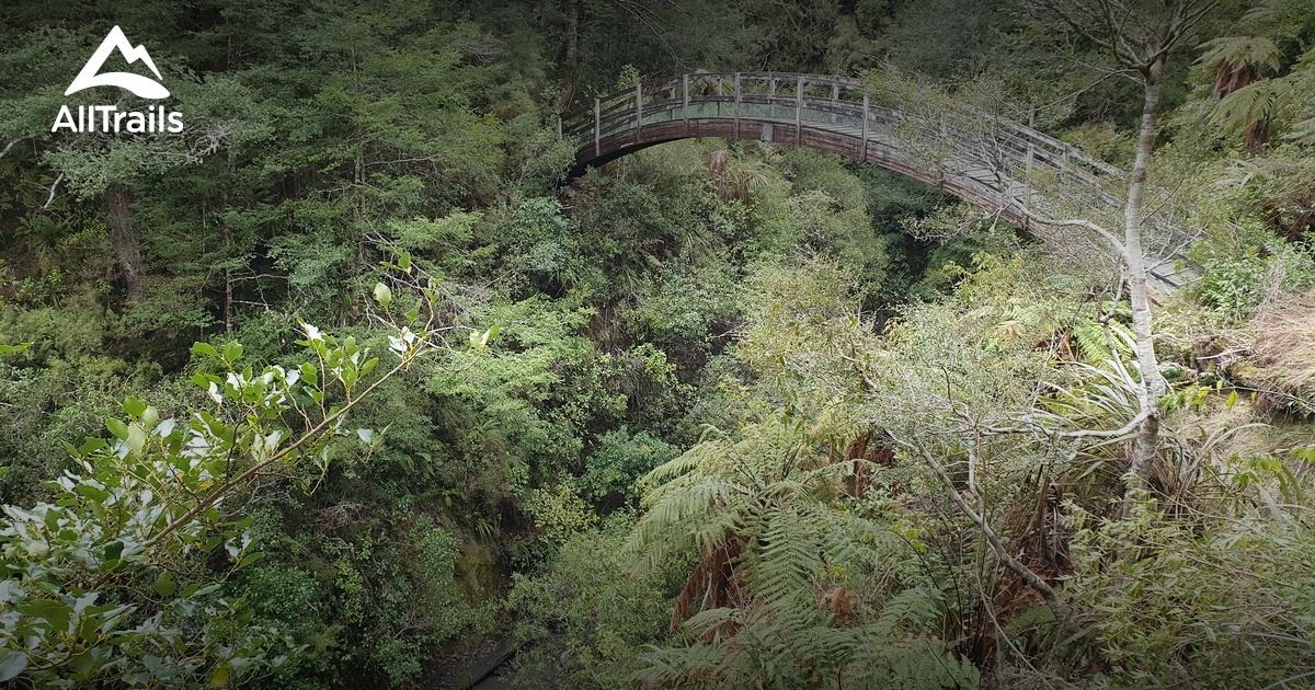 Best hikes and trails in Apiti | AllTrails