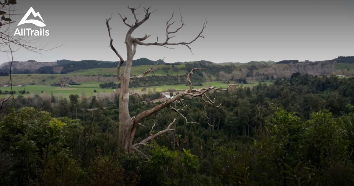 10 Best trails and hikes in Ashhurst | AllTrails