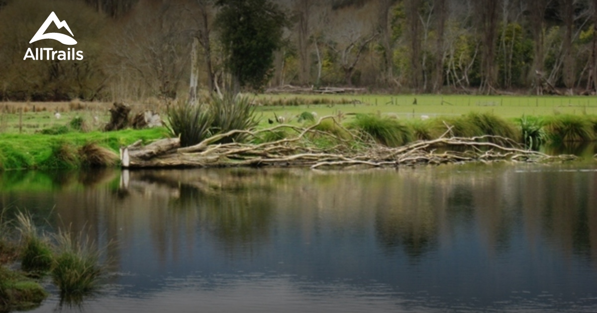 Best hikes and trails in Feilding | AllTrails
