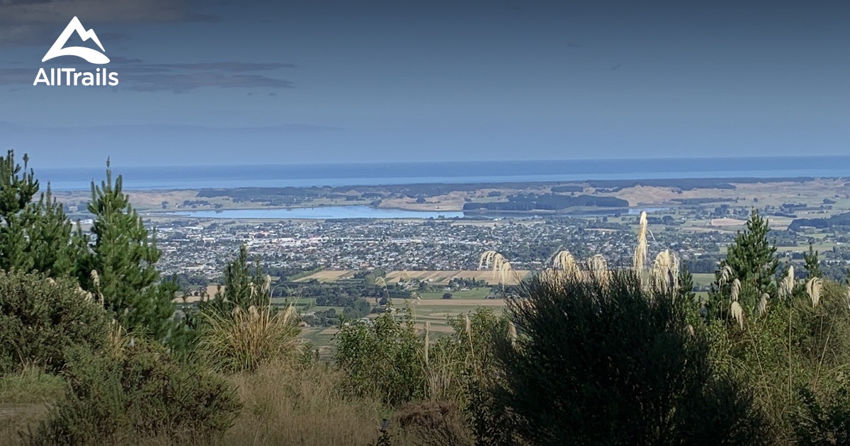 10 Best trails and hikes in Levin | AllTrails