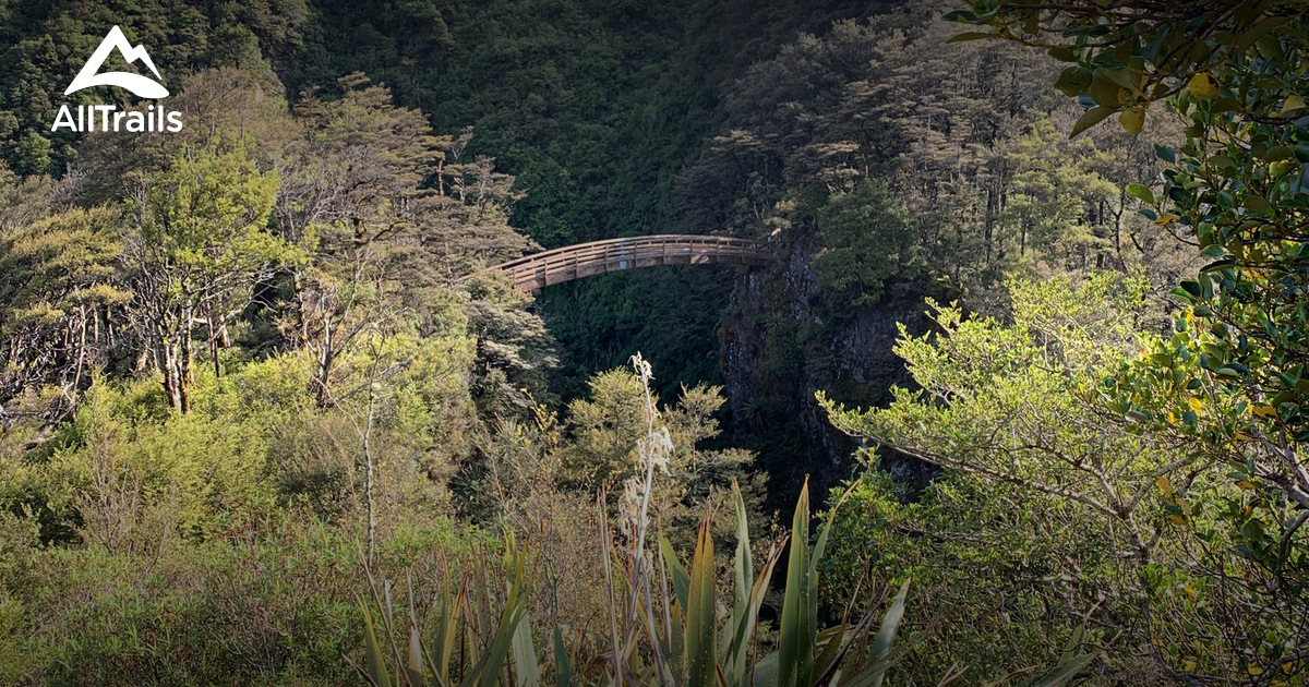 Los mejores senderos de dificultad moderada en Mangaweka | AllTrails