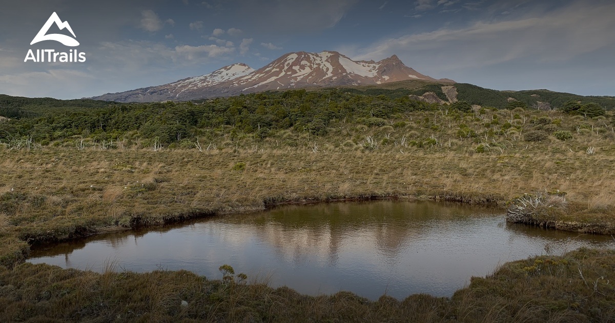 Best Trails near Ohakune, Manawatu-Wanganui New Zealand | AllTrails