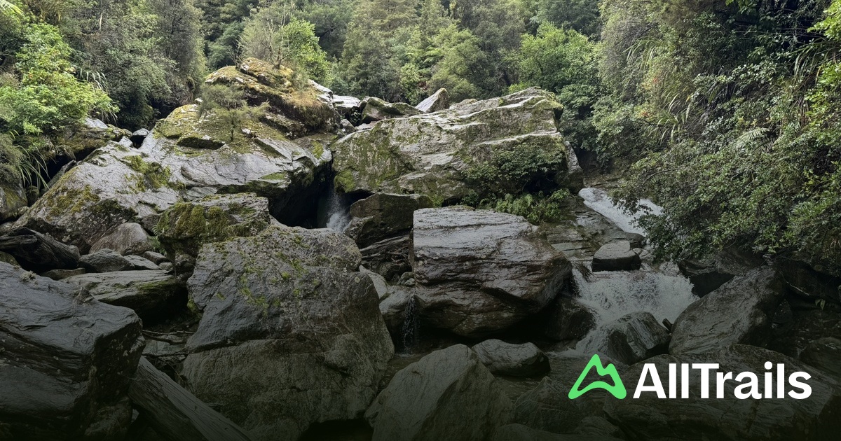 Best hikes and trails in Mount Richmond Forest Park | AllTrails