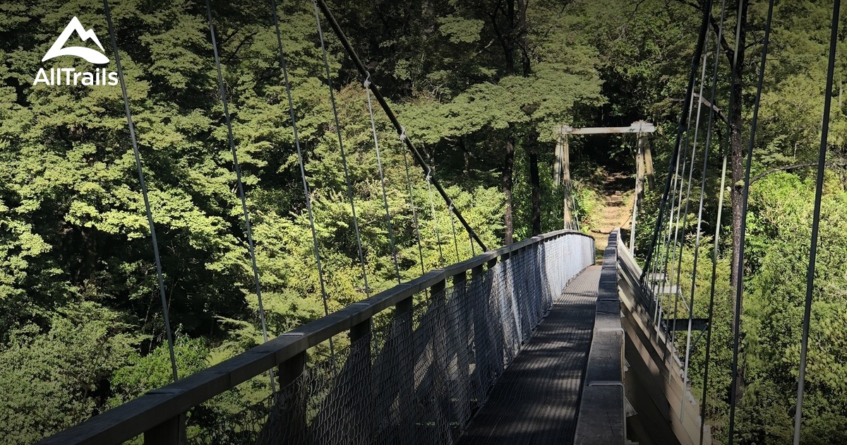 10 Best trails and hikes in Rai Valley | AllTrails