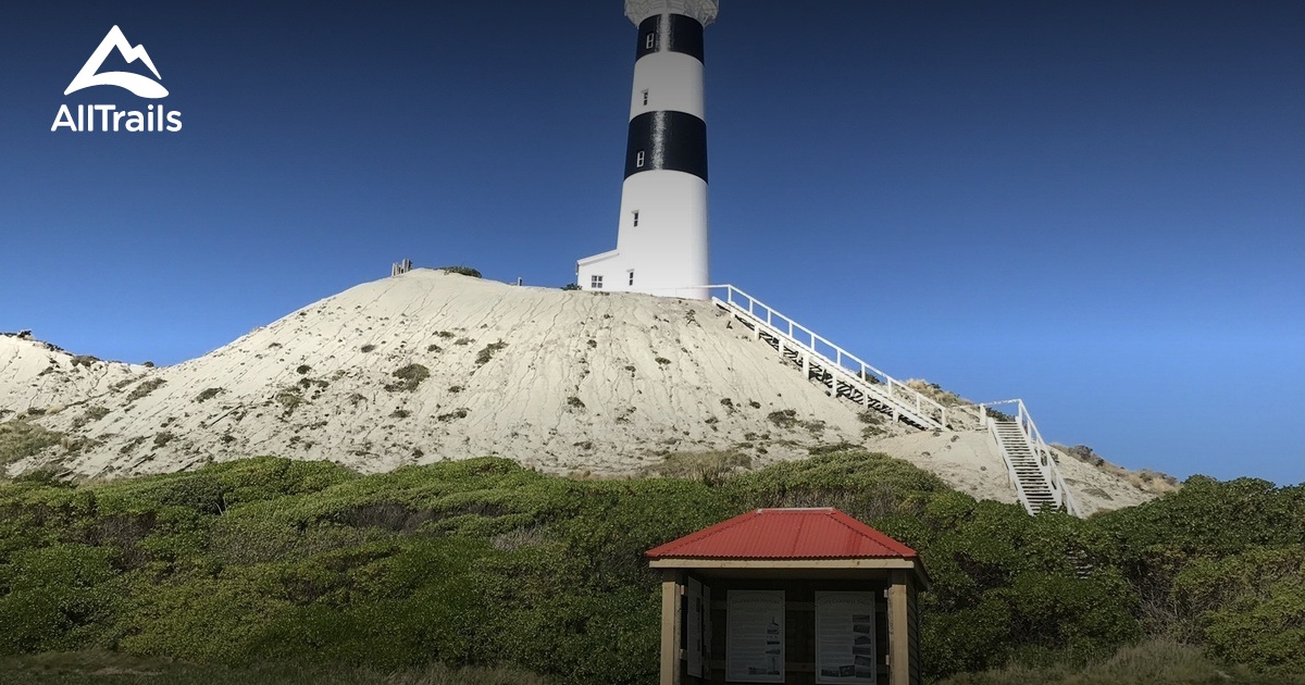 Best camping trails in Seddon | AllTrails