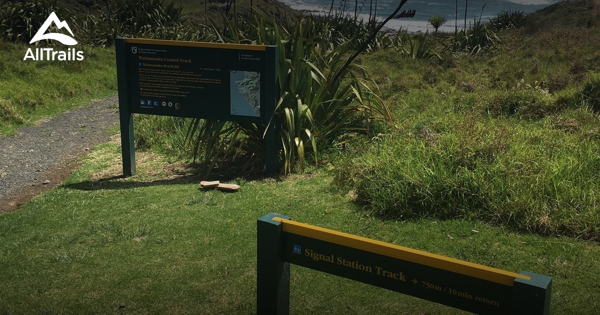 10 Best trails and hikes in Kaikohe | AllTrails