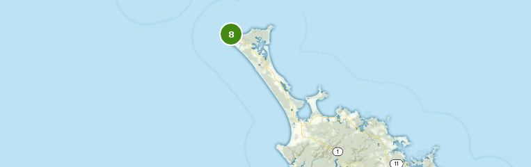 Best Trails near Kaitaia, Northland New Zealand | AllTrails