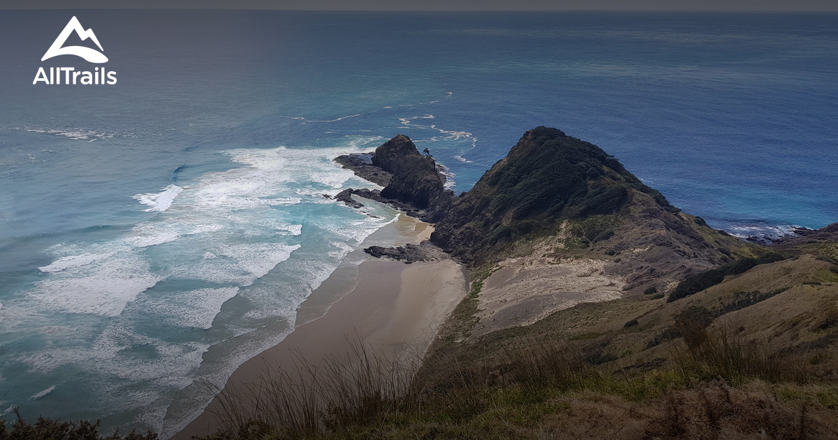 Best Trails near Kaitaia, Northland New Zealand | AllTrails