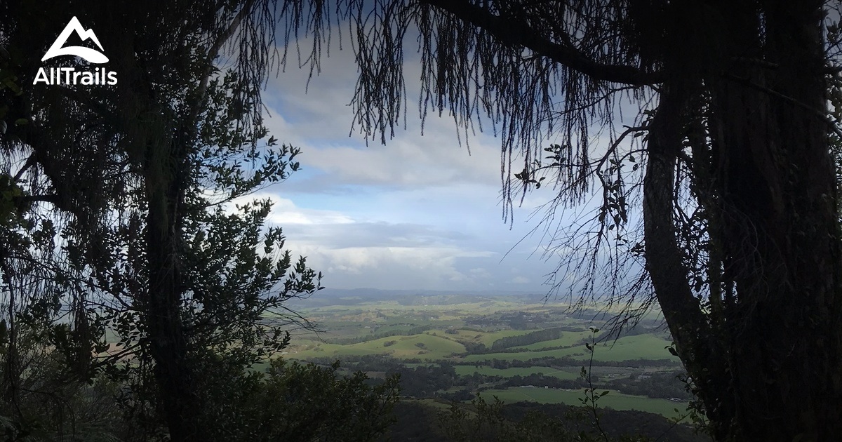 Best hikes and trails in Kaiwaka | AllTrails