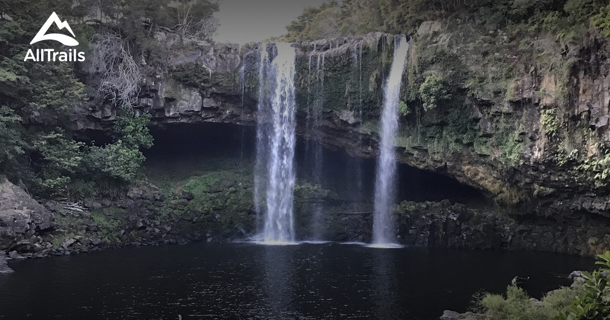 10 Best trails and hikes in Kerikeri | AllTrails