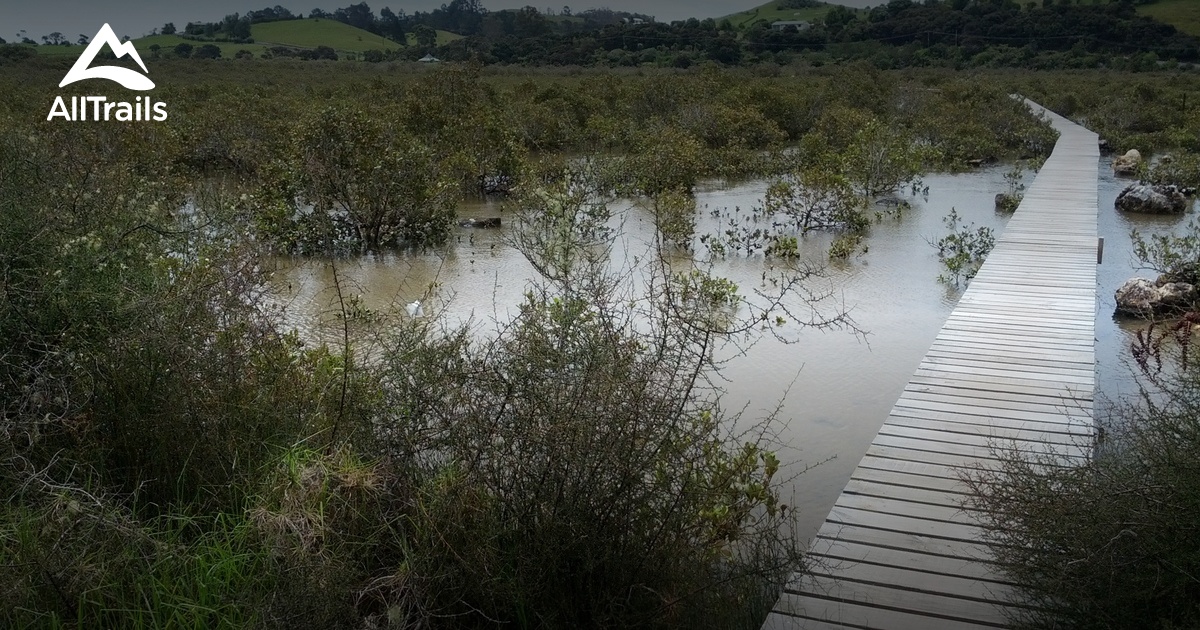 Best hikes and trails in Okiato | AllTrails