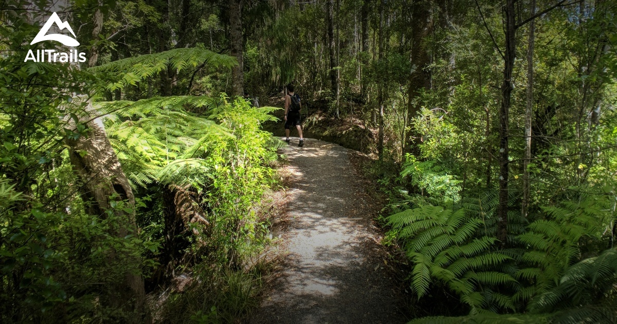 Best hikes and trails in Opua | AllTrails