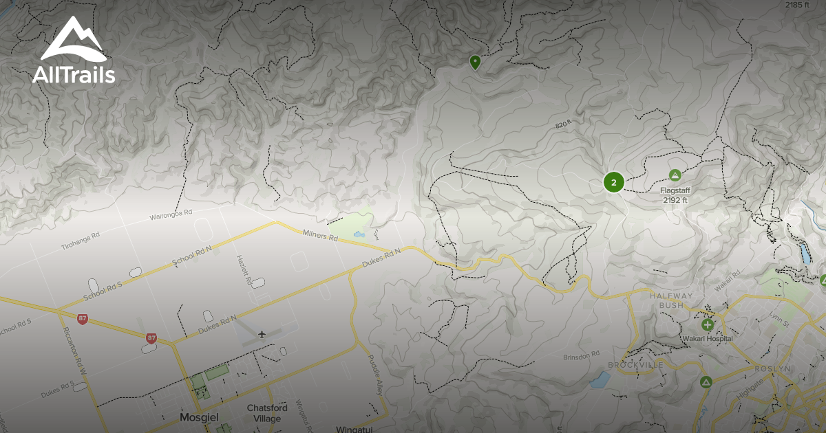 Best walking trails in Mosgiel | AllTrails