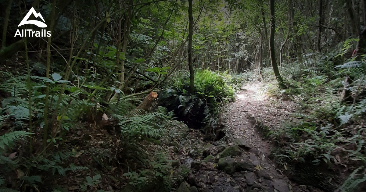 Best hikes and trails in Oamaru | AllTrails