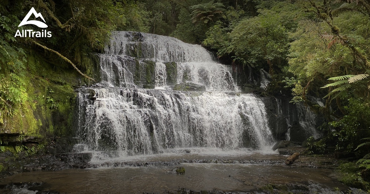 10 Best trails and hikes in Owaka | AllTrails