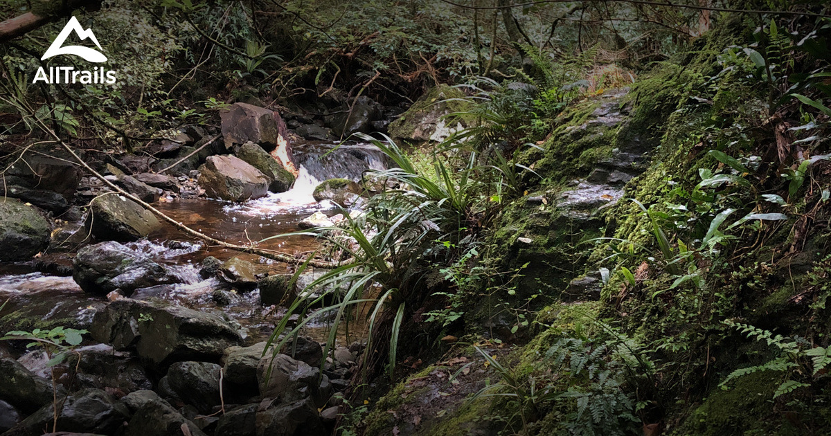 Best hikes and trails in Tapanui | AllTrails