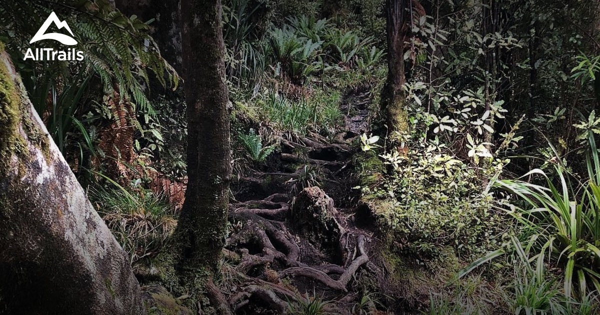 10 Best walking trails in Hamilton | AllTrails