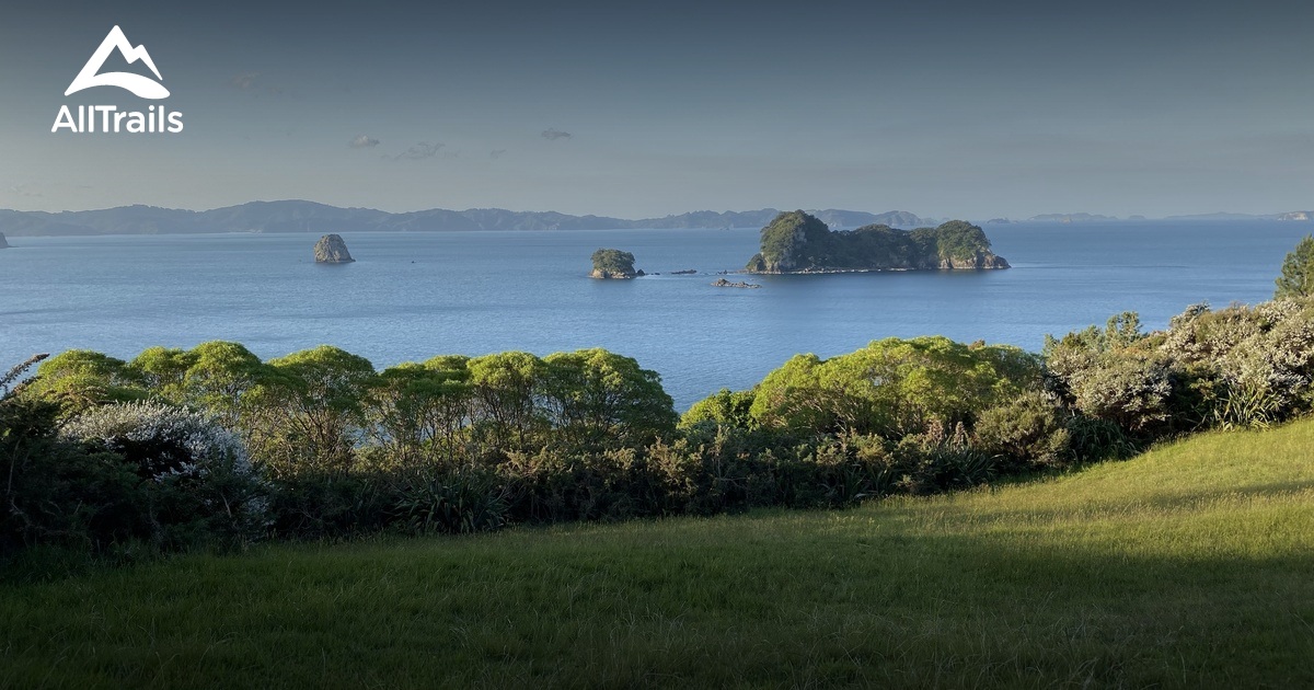 Best forest trails in Hikuai | AllTrails