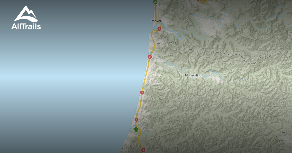 Best hikes and trails in Mokau | AllTrails