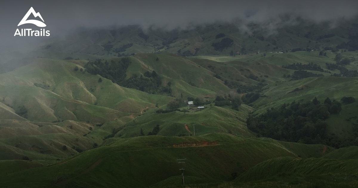 Best hikes and trails in Ohinewai | AllTrails