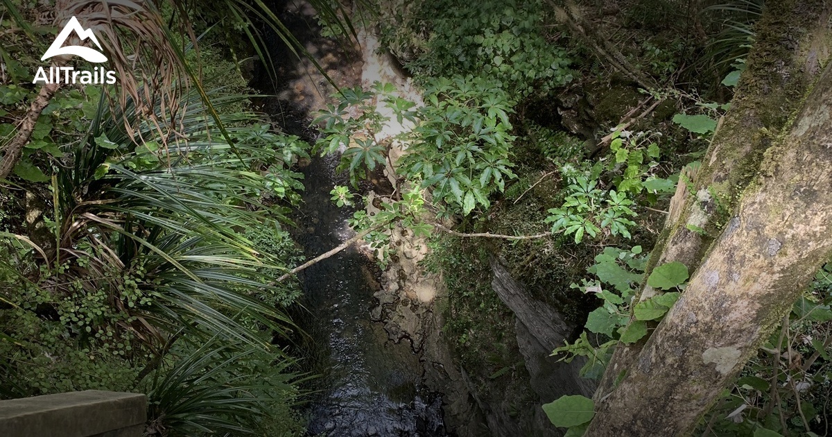 Best Trails near Otorohanga, Waikato New Zealand | AllTrails