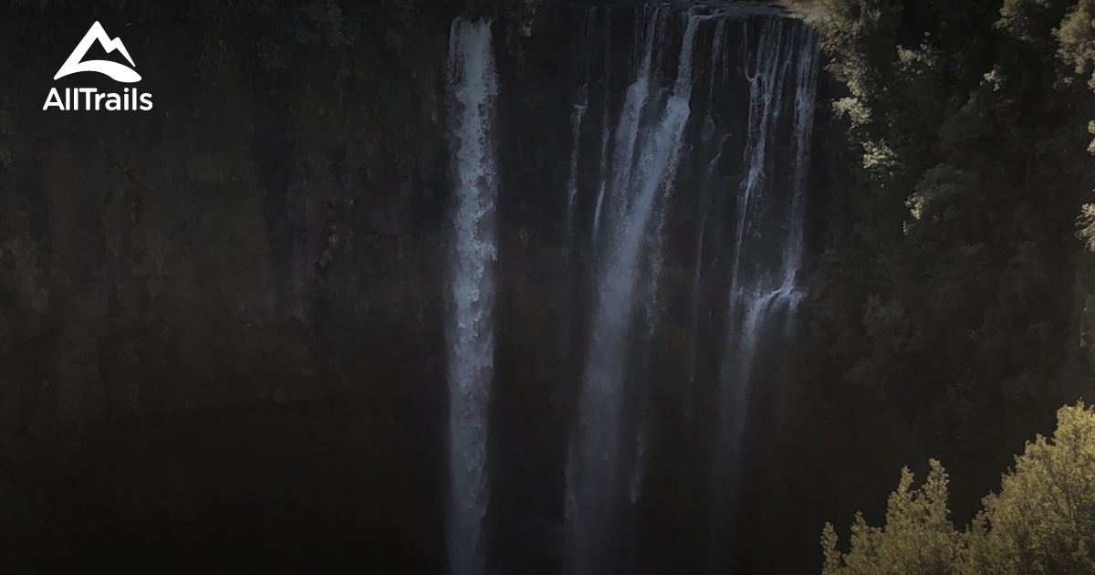 Best hikes and trails in Otorohanga | AllTrails