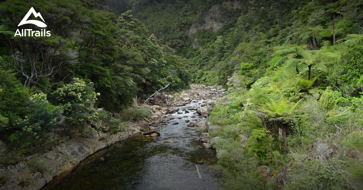 10 Best trails and hikes in Paeroa | AllTrails